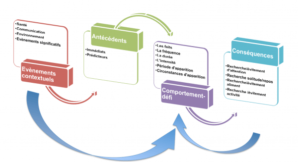 Exemple d’une grille d’analyse fonctionnelle du comportement (simplifiée):